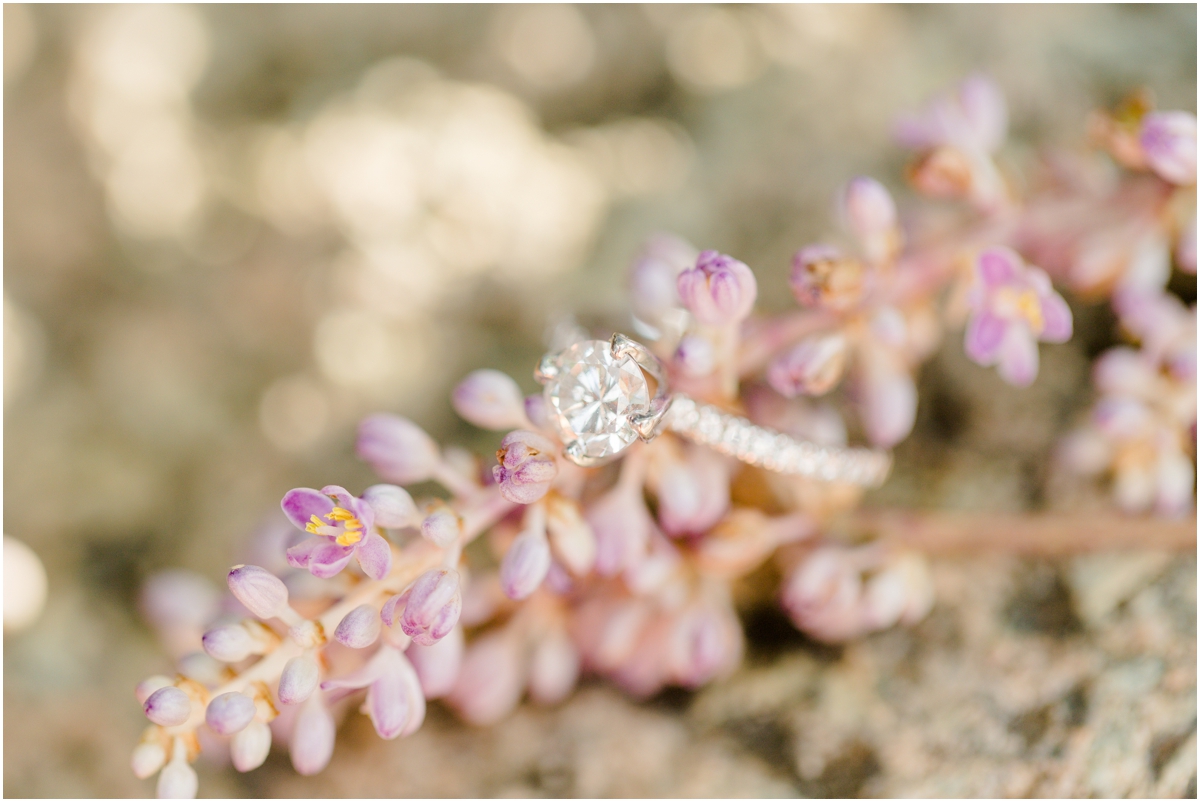 Falls Park Engagement Session | Nathan & Macy | Jacqueline & Laura